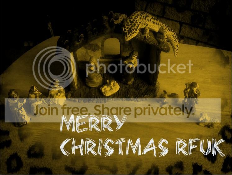 RFUK Official Christmas Competition! | Reptile Forums