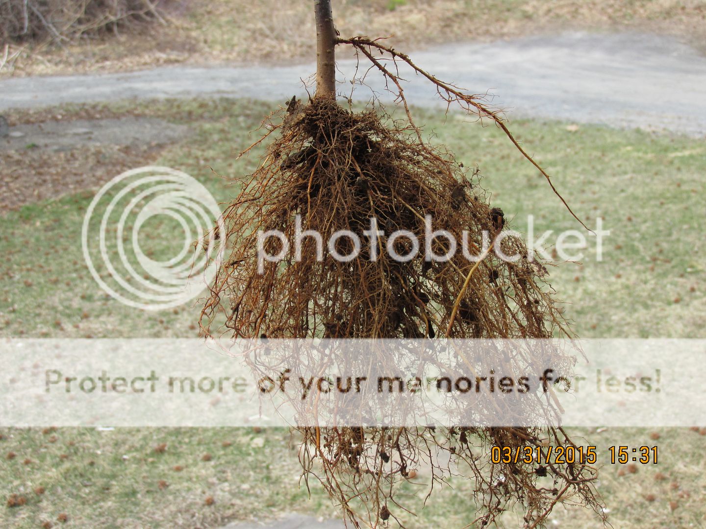 My Stool Bed Experience | Wildlife Habitat - Lets talk.....