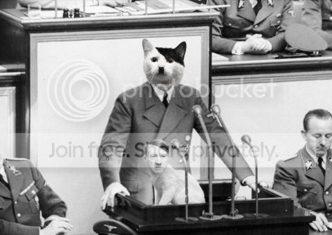 Best Hitler Cat Memes The Folly Of DALL E: How 4chan Is Abusing Bing's