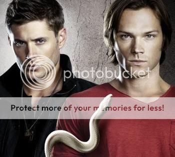 Mod The Sims - WCIF Sims versions of Sam and Dean Winchester